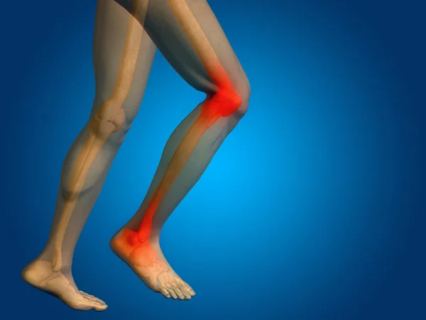 ᐈ Shin bone stock images, Royalty Free shin bone photos | download on ...