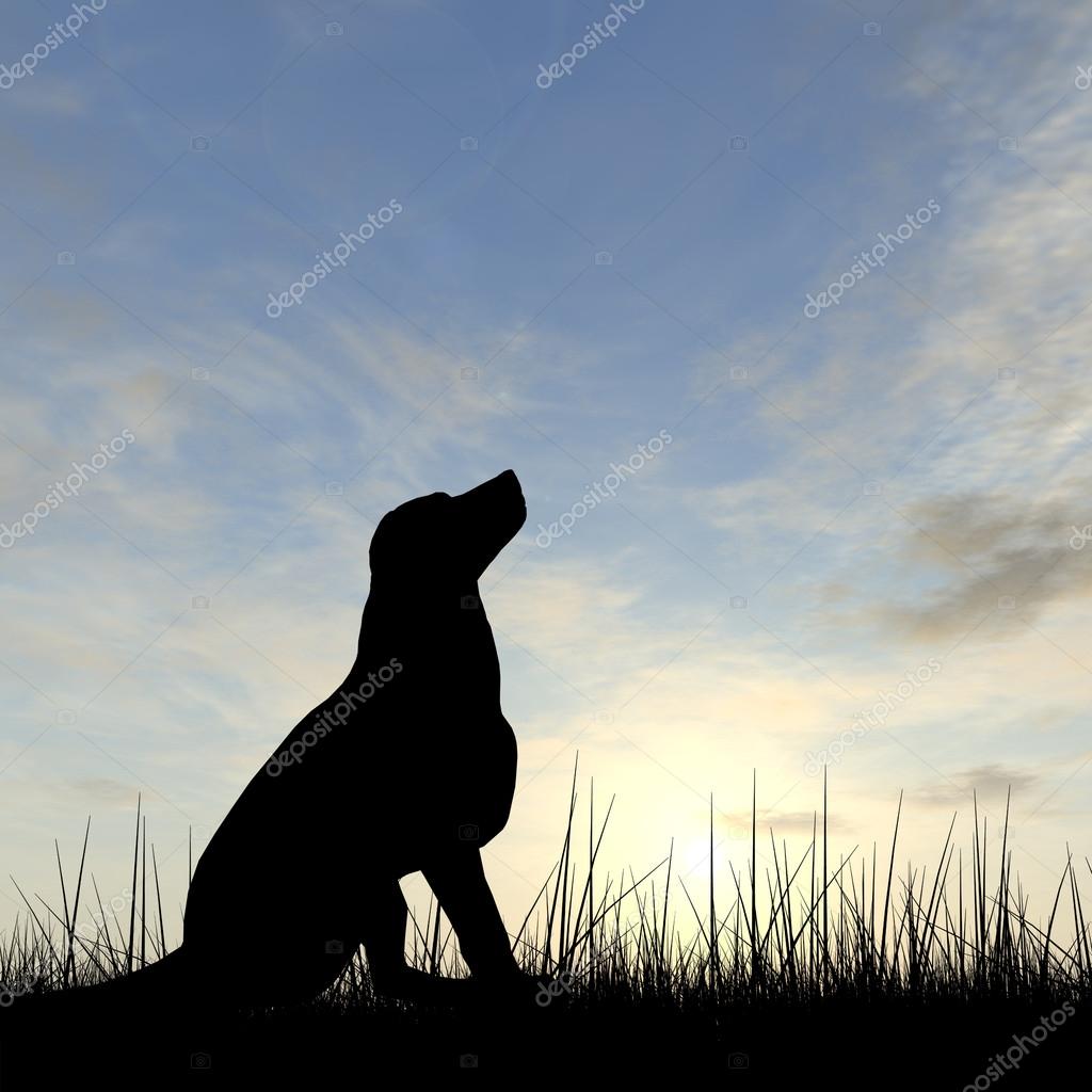 Cute dog silhouette — Stock Photo © design36 #69913925