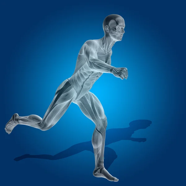 Vo2 max Stock Photos, Royalty Free Vo2 max Images | Depositphotos