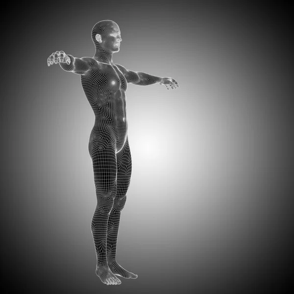 625 Fitness wireframe Stock Photos, Fitness wireframe Images ...