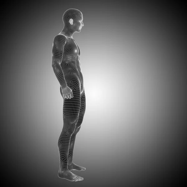 625 Fitness wireframe Stock Photos, Fitness wireframe Images ...