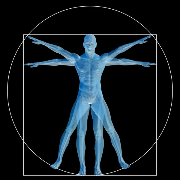Vitruvian Man — Stock Photo © jamesgroup #13484328