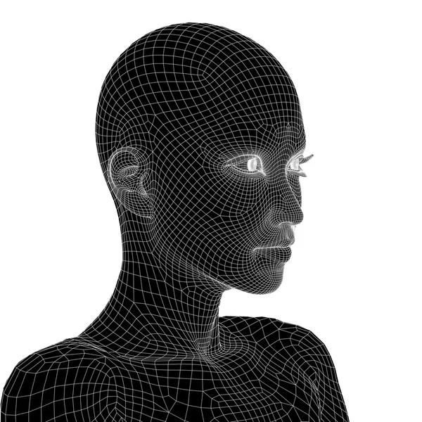 Human wireframe Stock Photos, Royalty Free Human wireframe Images ...
