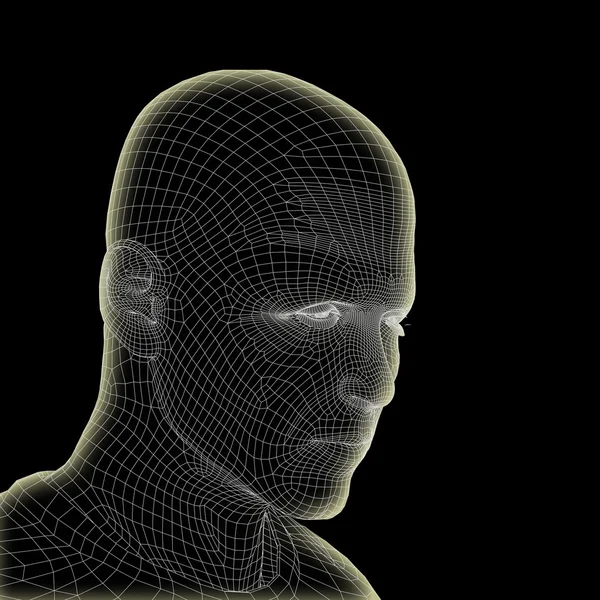 Human wireframe Stock Photos, Royalty Free Human wireframe Images ...