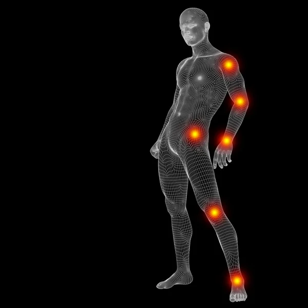 3d body wireframe Stock Photos, Royalty Free 3d body wireframe Images ...