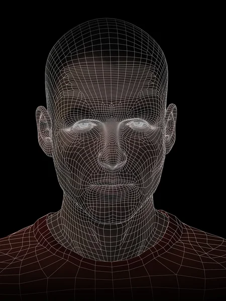 Human head. Wire frame render Stock Photo by ©cherezoff 45121169