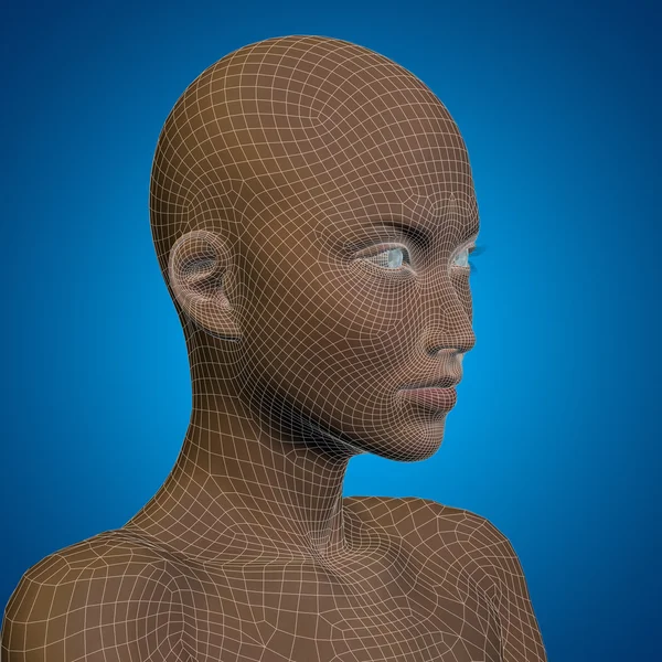 Human face mesh images libres de droit, photos de Human face mesh ...