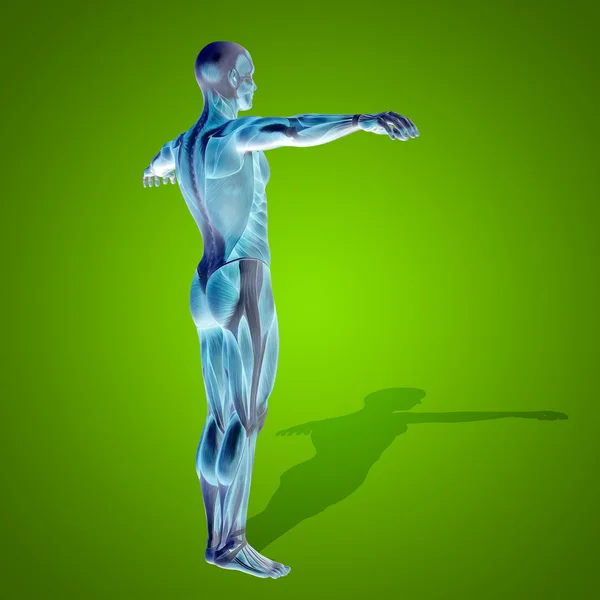 Kinesio tap Stock Photos, Royalty Free Kinesio tap Images | Depositphotos