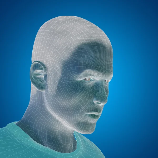 Wireframe young human male face Stock Photo by ©design36 152812306