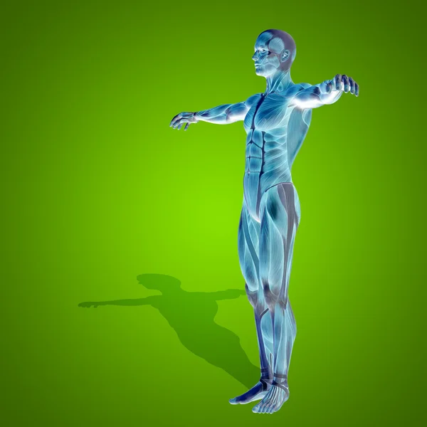 Human energy body silhouette aura stockfotos human energy Stock Photos ...