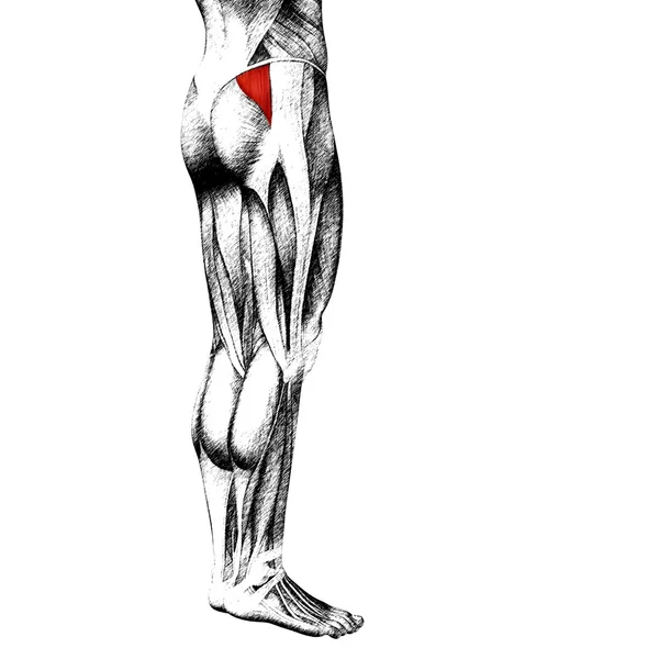 Triangular sling Stock Photos, Royalty Free Triangular sling Images ...