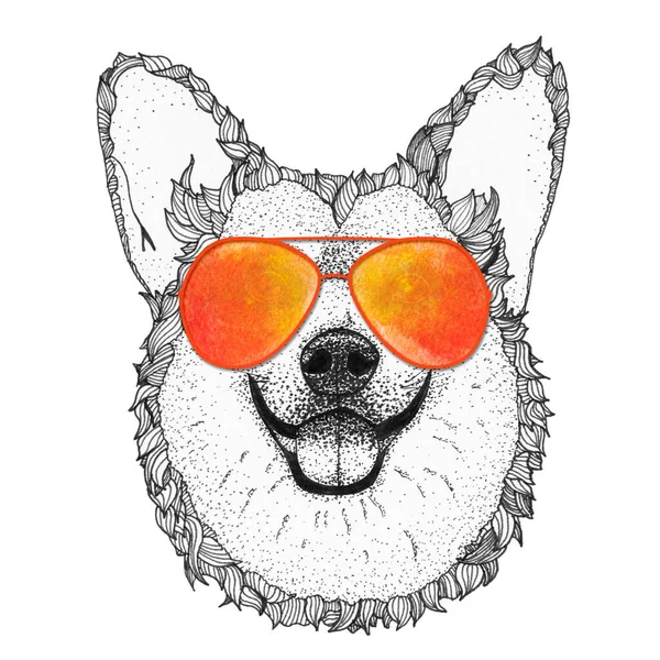 Kreslený pes hlava stock fotografie, royalty free Kreslený pes hlava ...