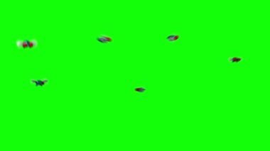 Cartoon Swarm Of Flies