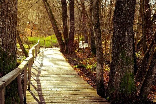 ᐈ Wooded path stock images, Royalty Free wooded path photos | download ...