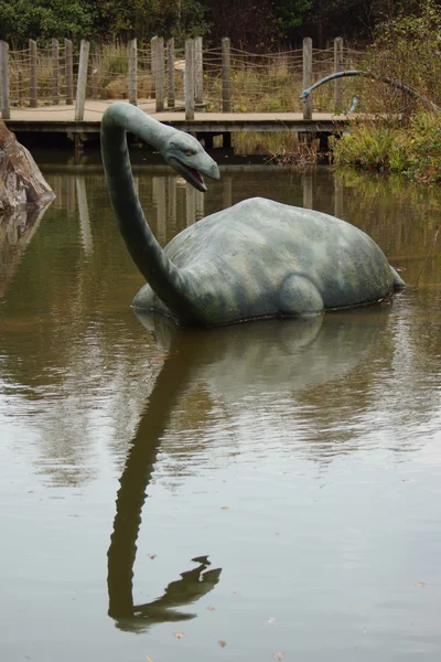 Plesiosaur Stock Photos, Royalty Free Plesiosaur Images | Depositphotos