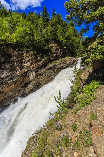 Roaring Waterfalls in Spring - Stock Image - Everypixel