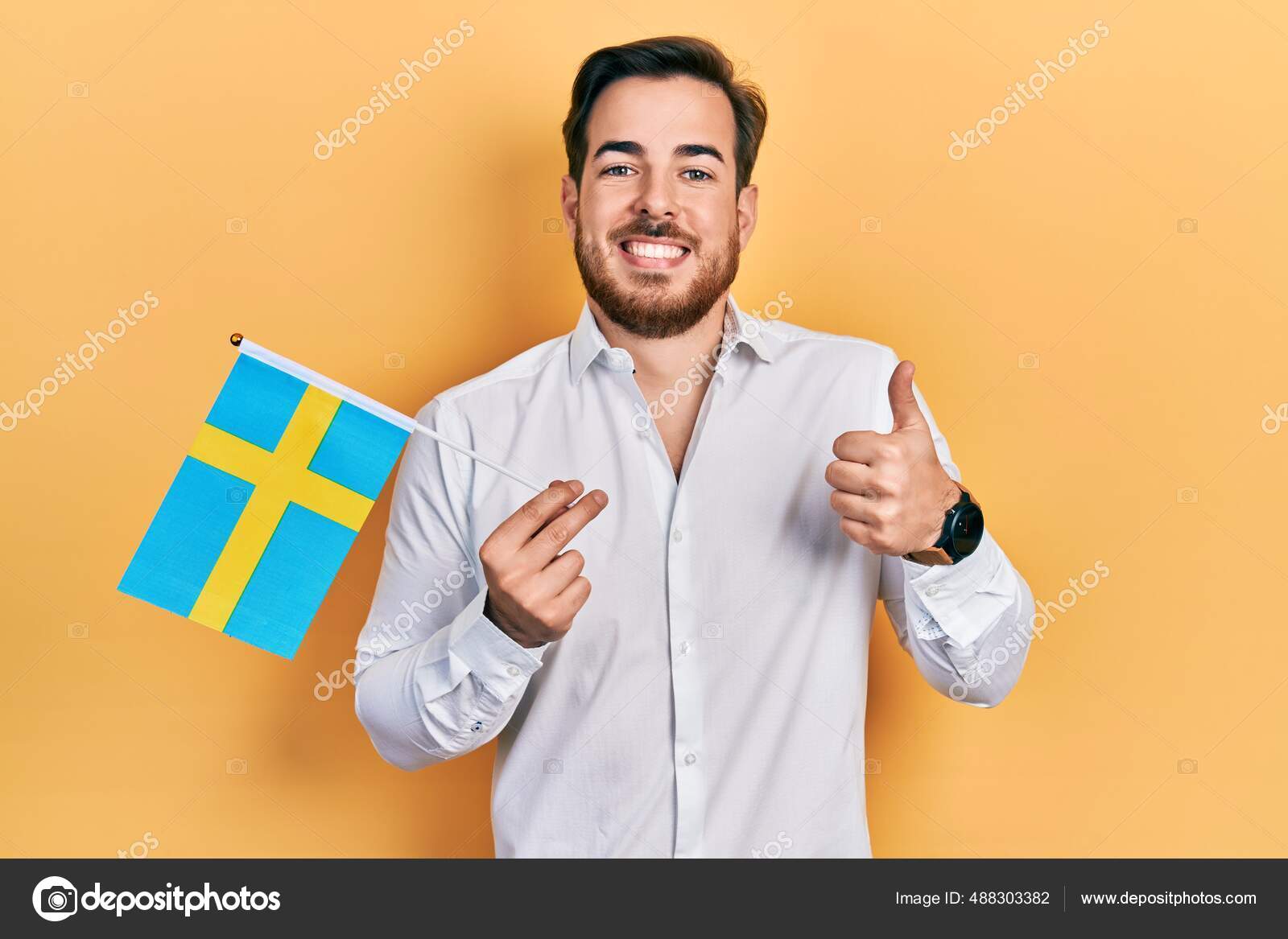 Swedish Man Beard