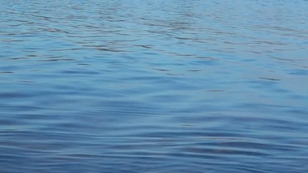 River Water Surface with Waves Stock Video Footage by ©ras-slava #67428319