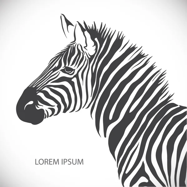 Zebra icon Vector Images | Depositphotos