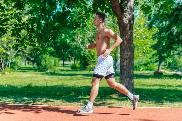 Strong Attractive Man Running Shirtless Park — Stock Photo © gorgev ...
