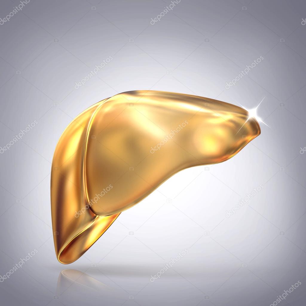Golden liver on grey background. — Stock Photo © SectoR_2010 #66024709