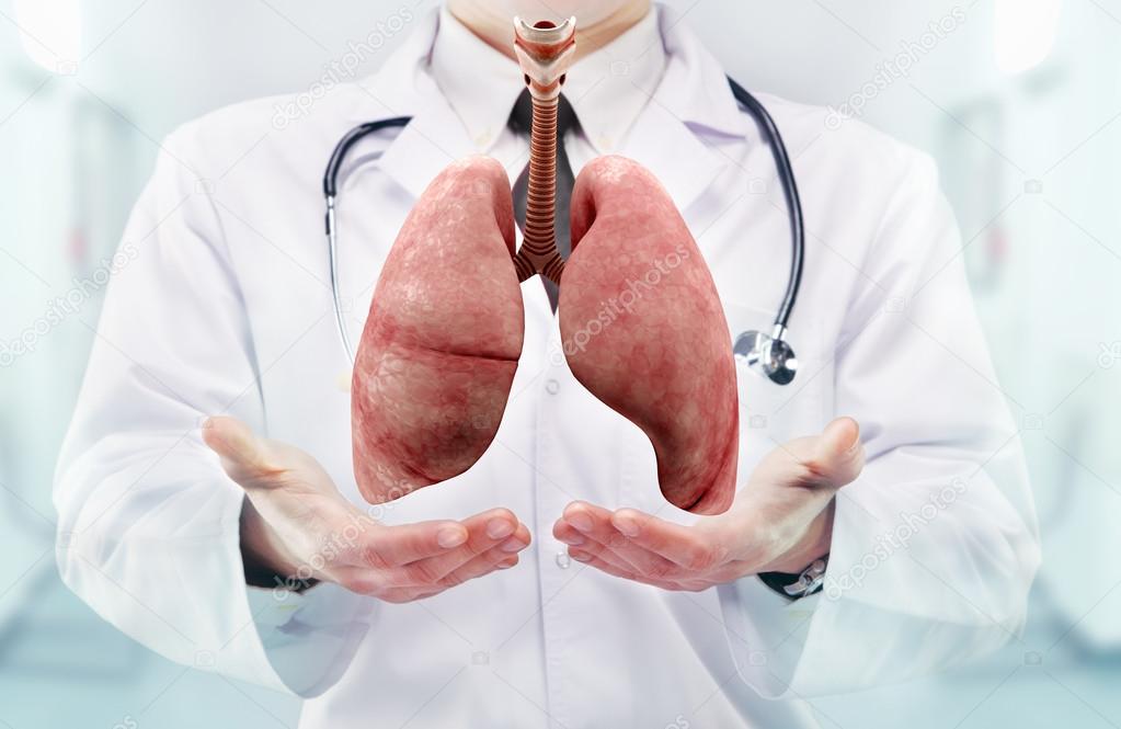 Médico con estetoscopio y pulmones en las manos en un hospital — Foto ...