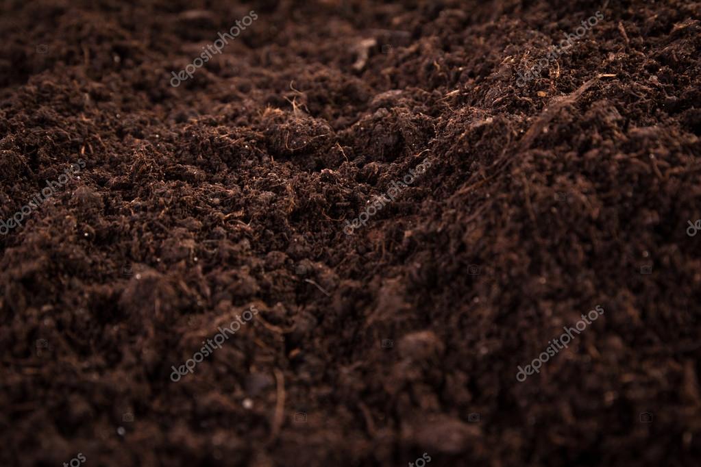 Soil or dirt section isolated on white background — Stock Photo ...