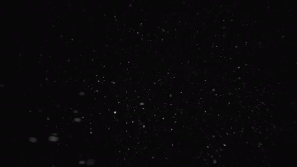 Falling white dust particles on black. Winter cold weather, blizzard ...