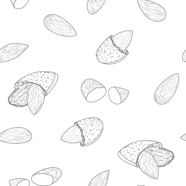 26,144,266 Almond Vector Images | Depositphotos