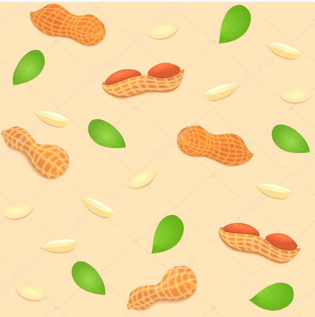 Vector seamless background peanut nut. A pattern of shelled peanuts ...