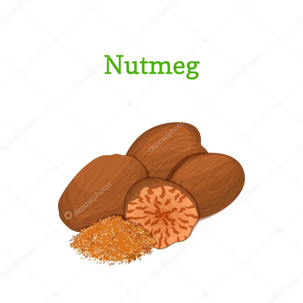 Nutmeg vector illustration of a handful of whole and crushed spices ...