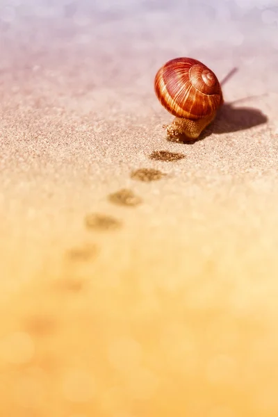 First step forward Stock Photos, Royalty Free First step forward Images ...