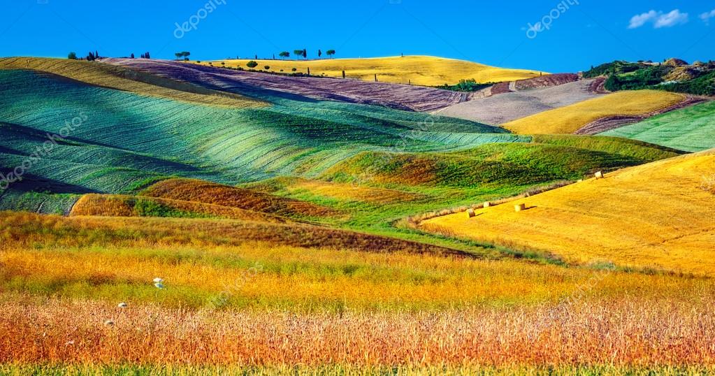 Beautiful agricultural landscape — Stock Photo © Anna_Om #122111306