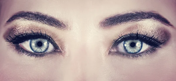 Shiny vision Stock Photos, Royalty Free Shiny vision Images ...