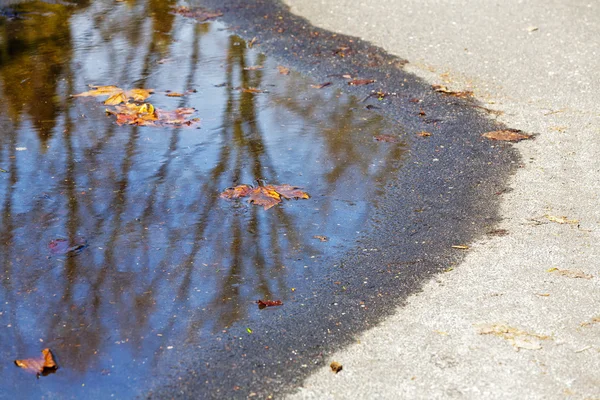 Spring puddles Stock Photos, Royalty Free Spring puddles Images ...