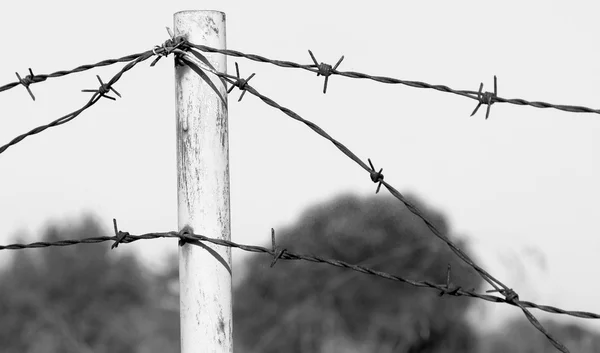 Barbed wire feet Stock Photos, Royalty Free Barbed wire feet Images ...