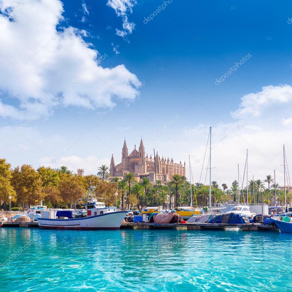 Palma de Mallorca port marina Majorca Cathedral Stock Photo by ...