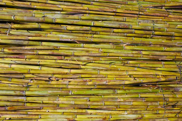 Sugar cane texture Stock Photos, Royalty Free Sugar cane texture Images ...