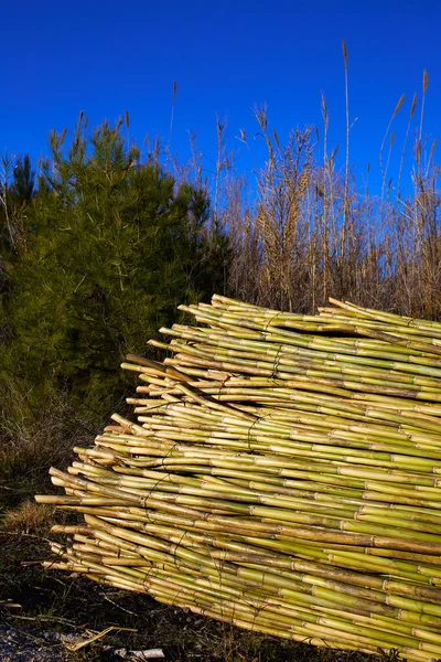 Fond Stock Photos, Royalty Free Fond Images | Depositphotos®