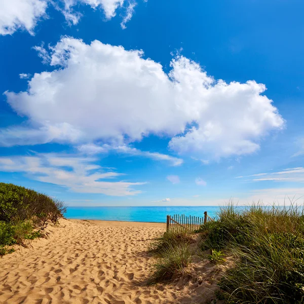 Cape cod beach Stock Photos, Royalty Free Cape cod beach Images ...