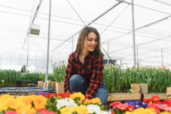 Beautiful young smiling Florists woman, worker with flowers in greenhouse. Concept work in the ...