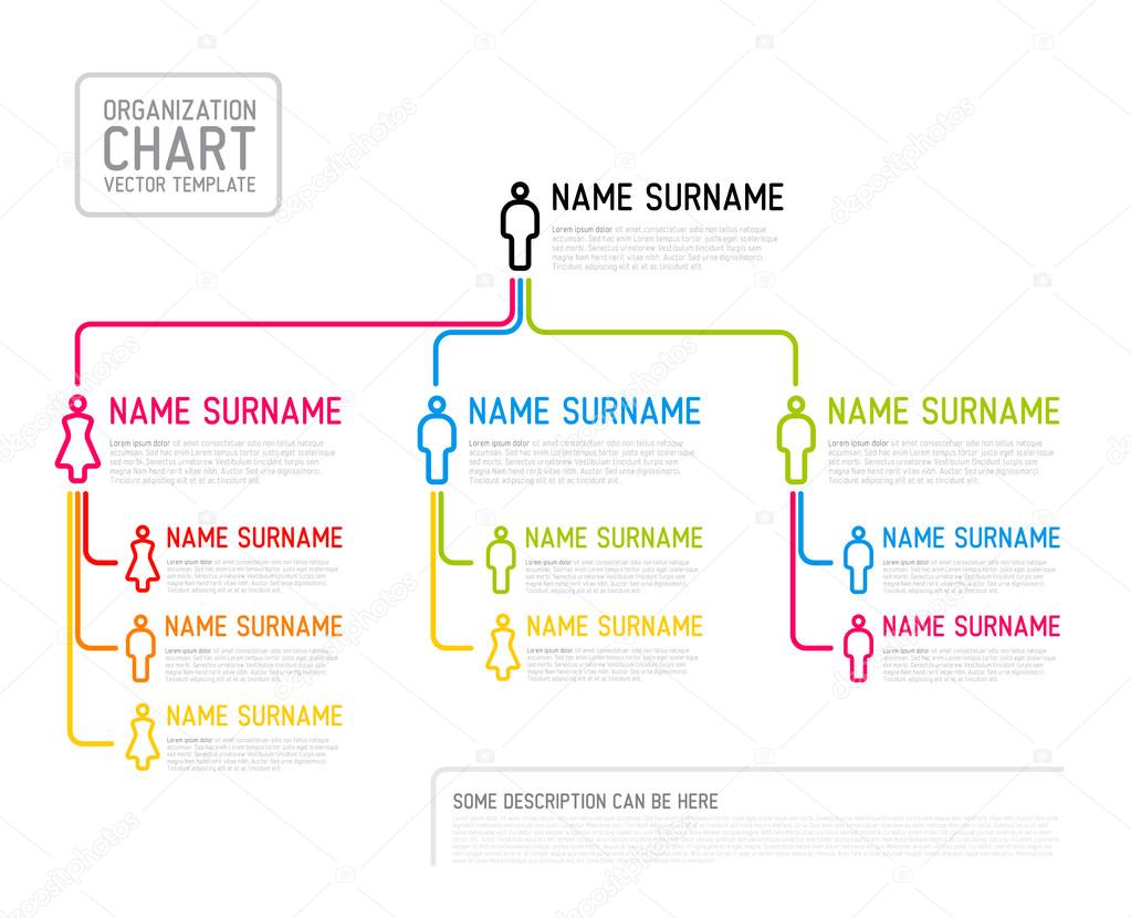 Vector modern organization chart template made from thin lines — Stock ... Vector modern organization chart template made from thin lines — Stock ...