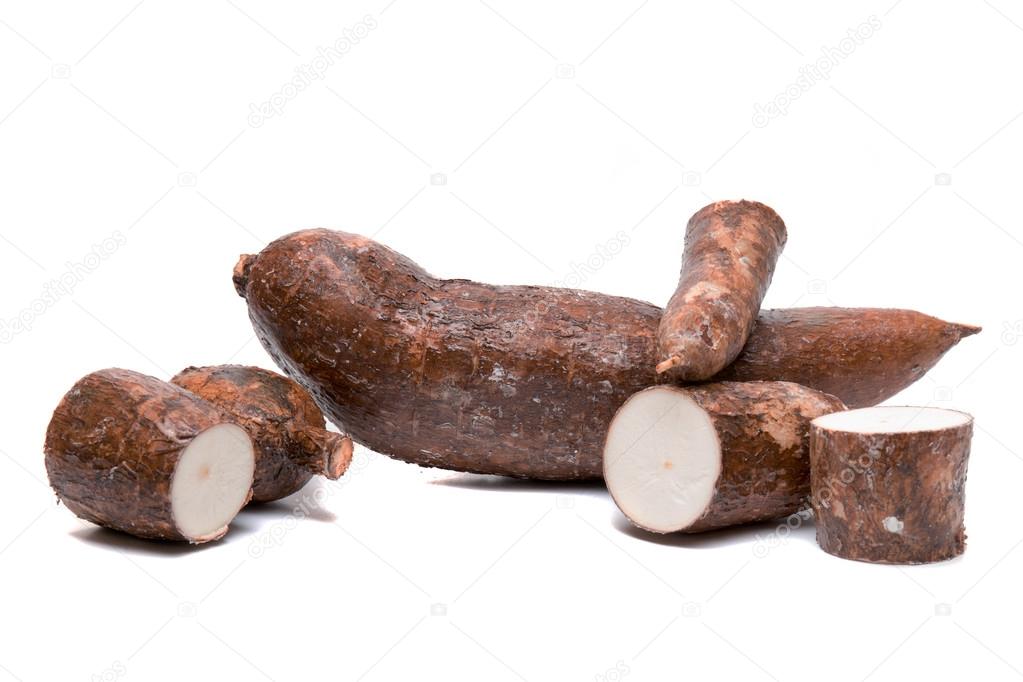 Cassava root isolated on a white background Stock Photo by ©membio ...