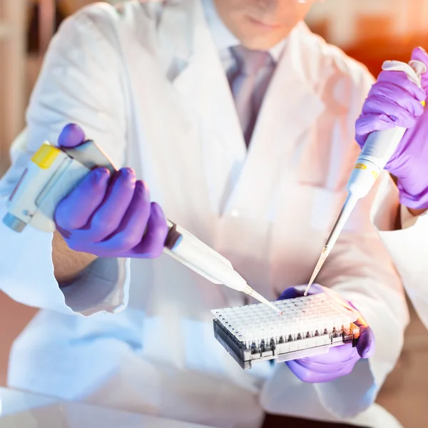 Lab technician pipetting fotos de stock, imágenes de Lab technician ...