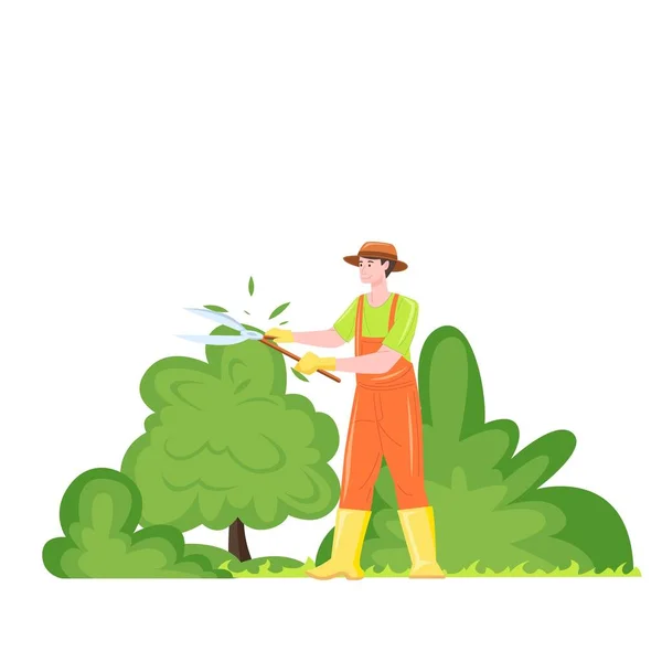 57 Pruning of trees Stock Illustrations | Depositphotos
