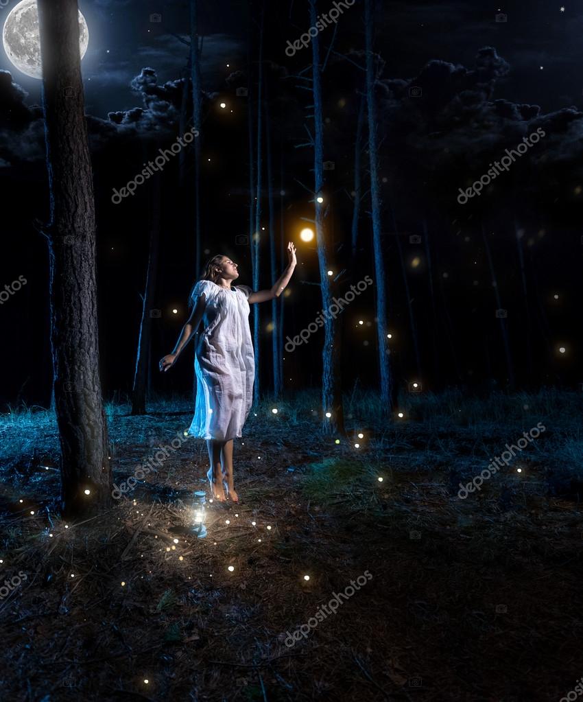 Fireflies At Night Hd