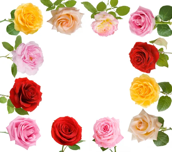 Circulo rosas Stock Photos, Royalty Free Circulo rosas Images ...