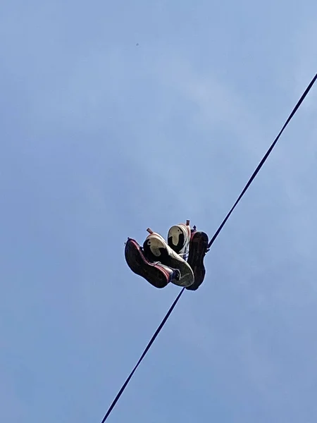 Zipwire Stock Photos, Royalty Free Zipwire Images | Depositphotos