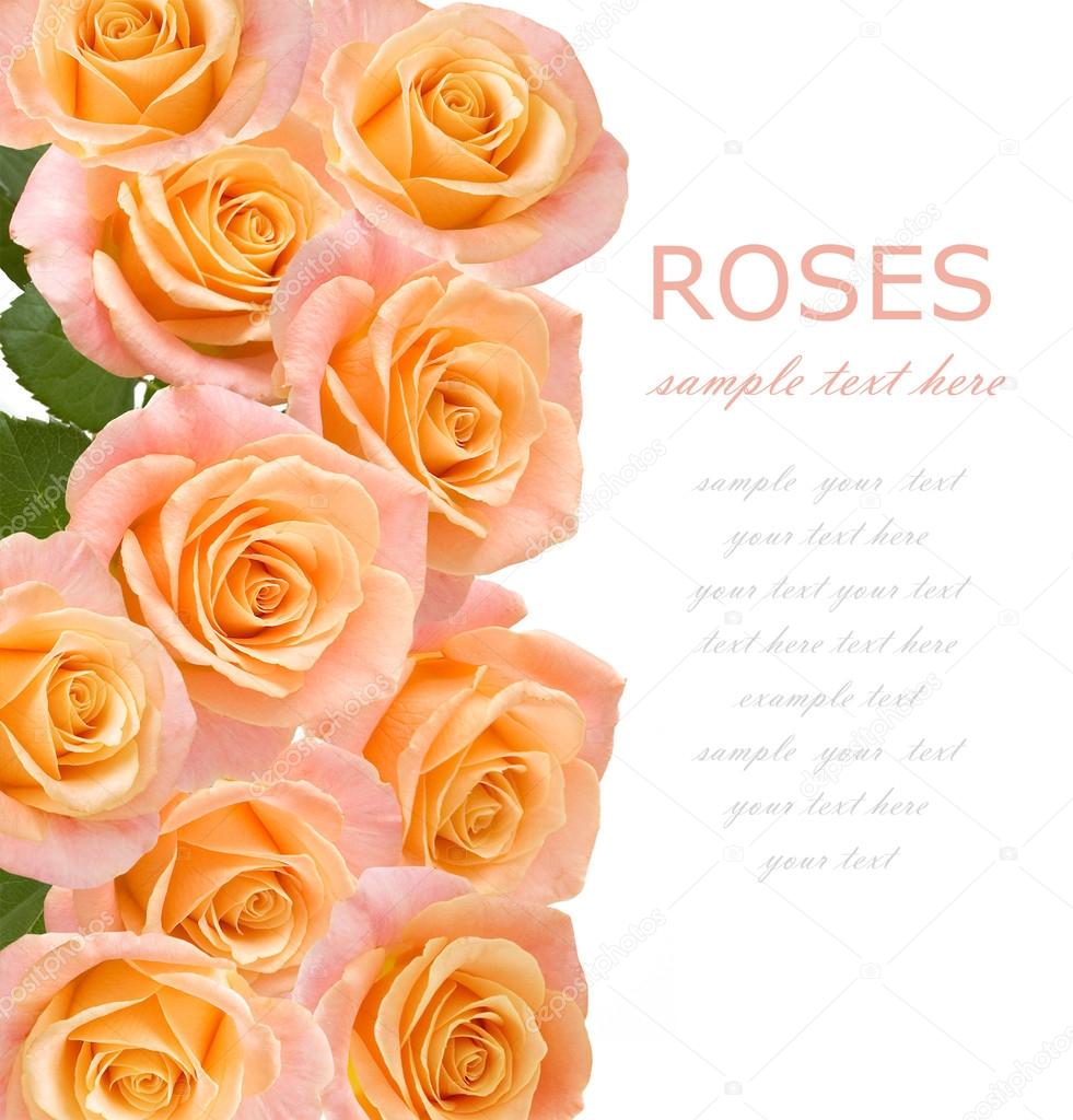 Tea and pink roses background with sample text — Stock Photo ...