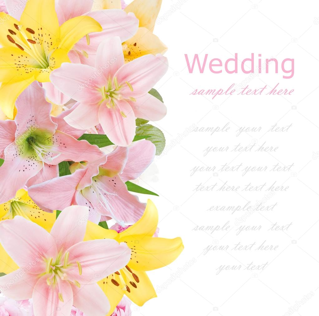 Lily flores fondo aislado en blanco con texto de muestra — Foto de ...